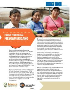 Fondo Territorial Mesoamericano – Alianza Mesoamericana de Pueblos y Bosques